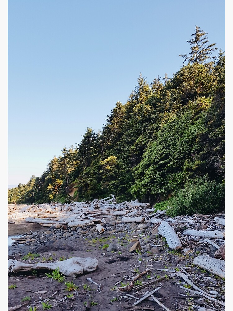 "Beach Treeline" Poster for Sale by bjfritz | Redbubble