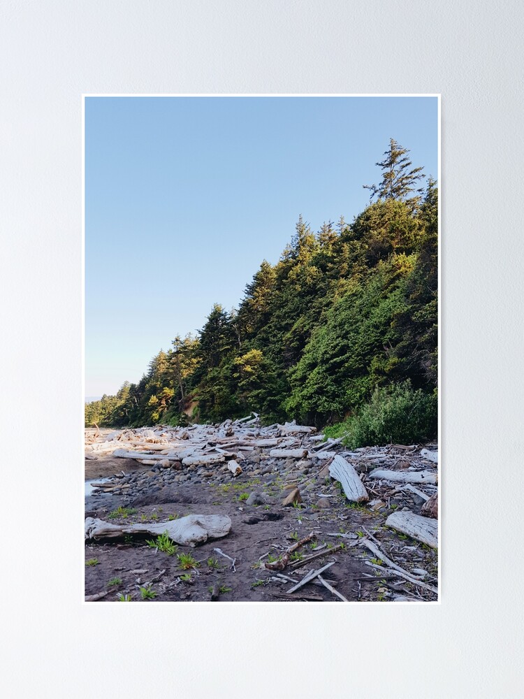 "Beach Treeline" Poster for Sale by bjfritz | Redbubble