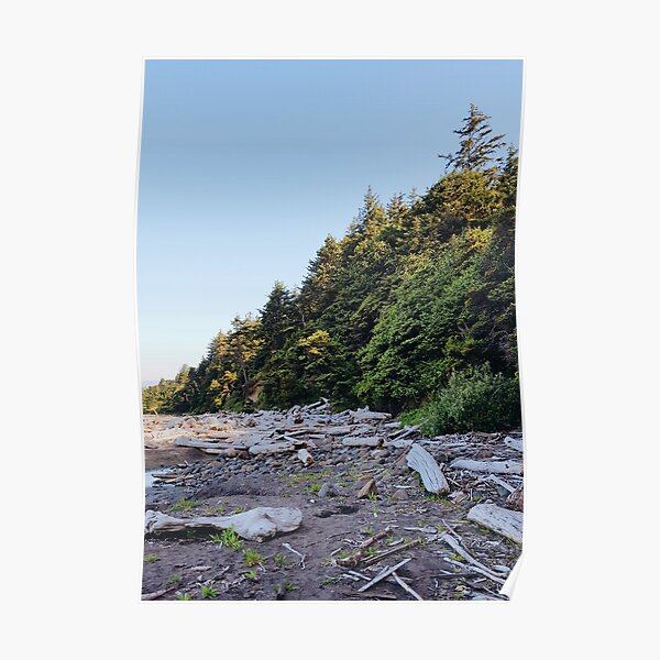 "Beach Treeline" Poster for Sale by bjfritz | Redbubble