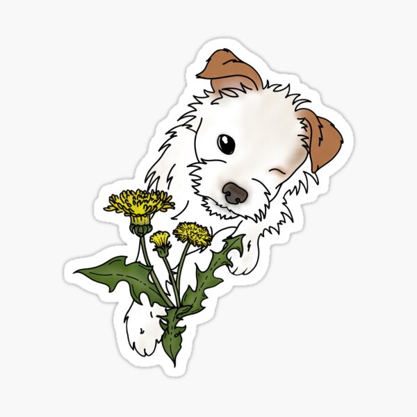 Scruffy Dog Gifts & Merchandise | Redbubble