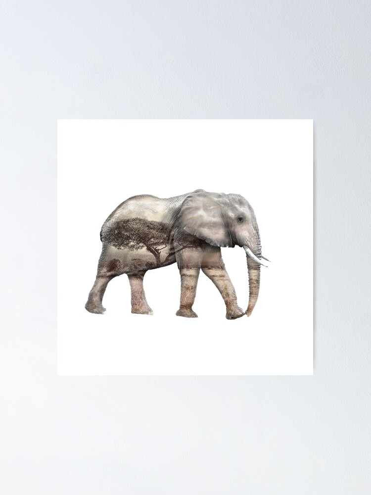 "Double Exposure Elephant" Poster by BriLazar | Redbubble