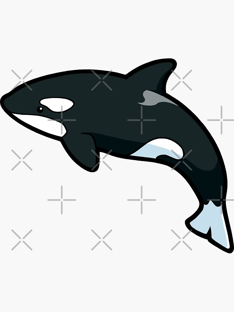 "Cute Orca" Sticker for Sale by GoldenArchelon | Redbubble