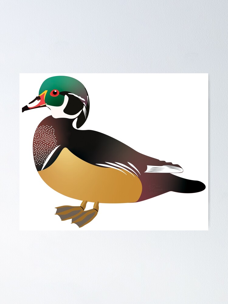 Póster «Pato de madera, pájaro, animal, © DAM Creative» de damhotpepper ...