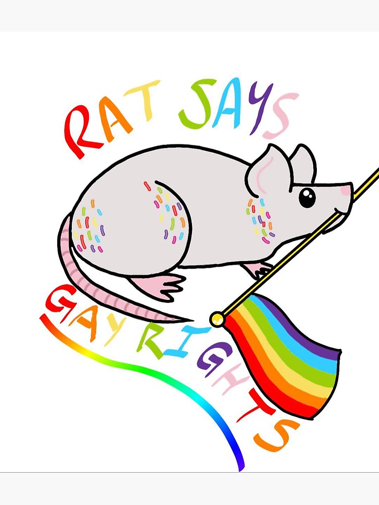 "Rat Says Gay Rights pride logo" Sticker for Sale by gay-teen-artist | Redbubble