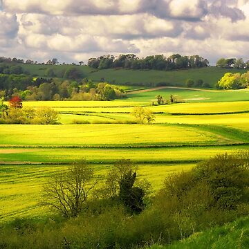 "English Countryside" Poster for Sale by Nigel Finn | Redbubble