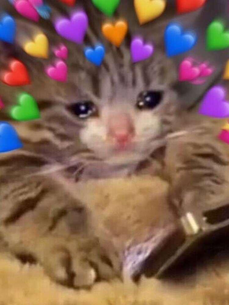 "Cat UwU" iPhone Case for Sale by jxnesy | Redbubble