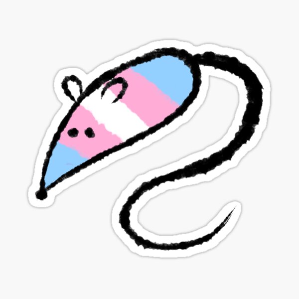 "Trans Pride Rat" Sticker by TheImpKing | Redbubble