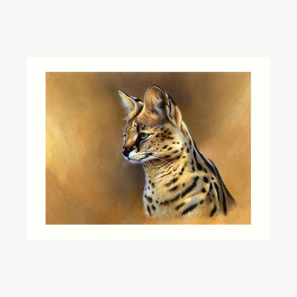 "Serval" Art Print for Sale by HarlemDigitals | Redbubble