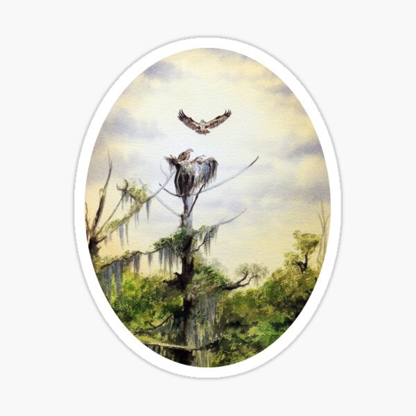 "Ospreys Nesting" Sticker by billholkham | Redbubble