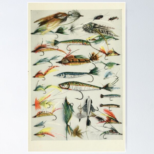 "Fishing Lures" Poster for Sale by bluespecsstudio | Redbubble