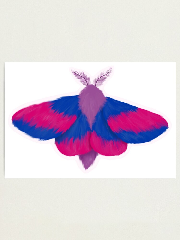 "Bi Pride Moth" Photographic Print by Mills-Draws | Redbubble