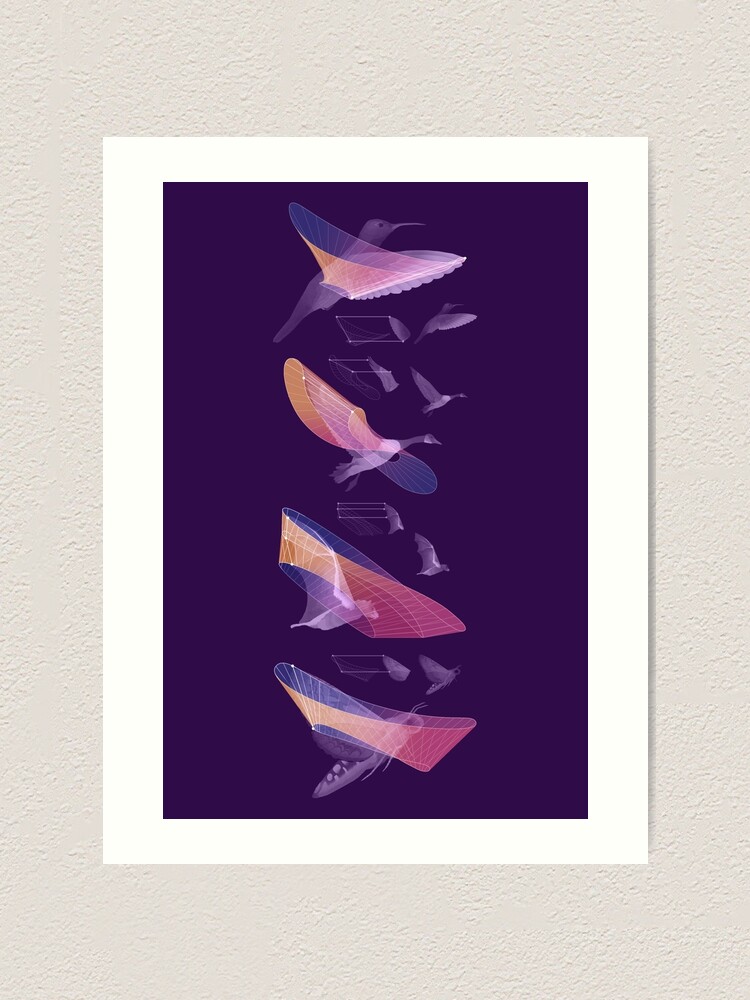 "Flight Deconstructed" Art Print for Sale by EleanorLutz | Redbubble