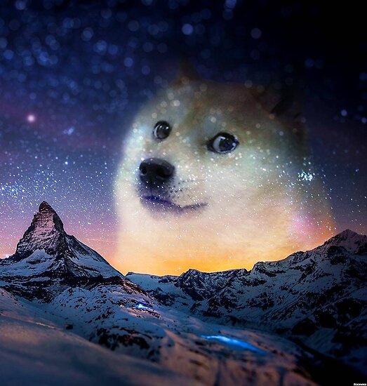 Space Doge