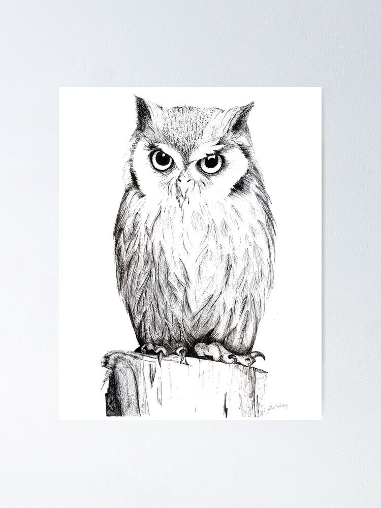 Pen And Ink Art And Collectibles Drawing And Illustration Pen And Ink Drawing Owl Art Ink Art Black
