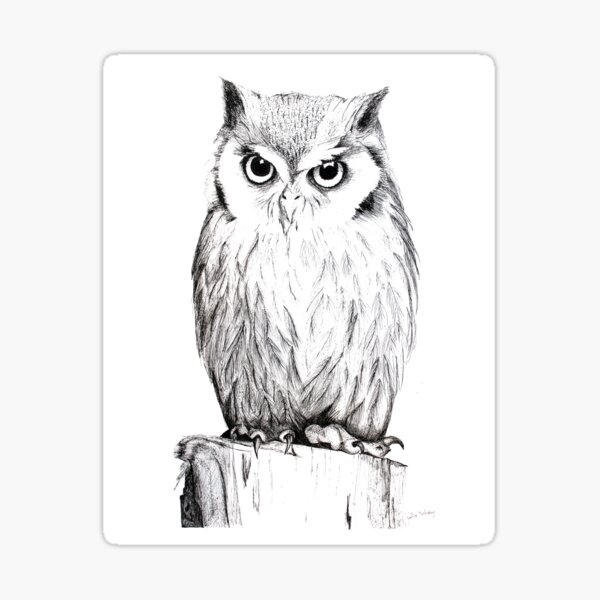 "Pen & Ink drawing of an Owl" Sticker for Sale by JulliaZeleskey ...
