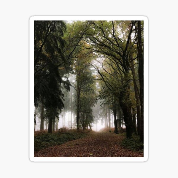 "Woods" Sticker by Hannah-lc | Redbubble