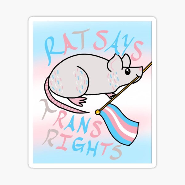 "Rat says Trans rights pride logo with background" Sticker for Sale by ...