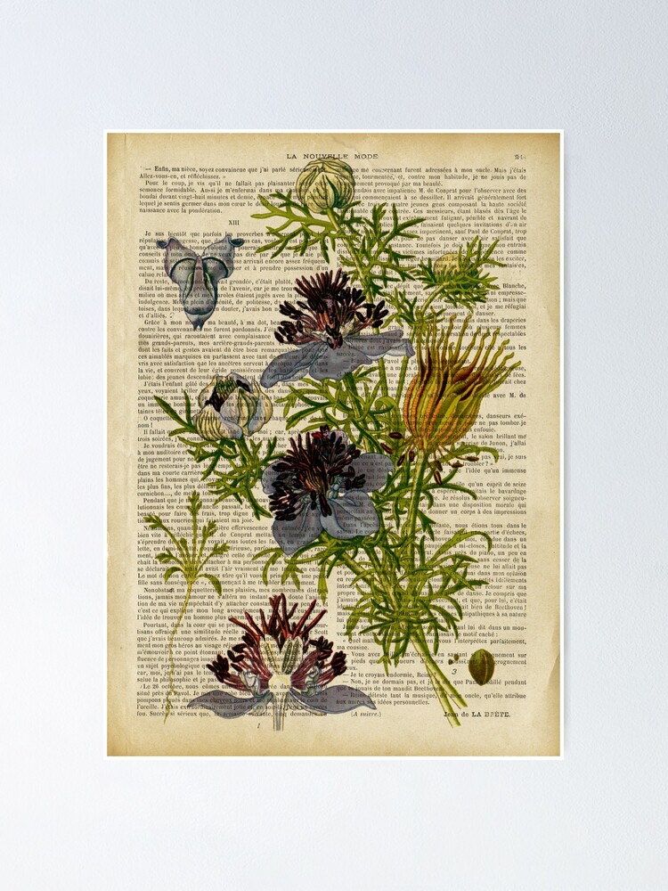 "Botanical print, on old book page - Blue Flower" Poster for Sale by ...