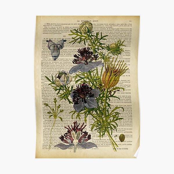 "Botanical print, on old book page - Blue Flower" Poster for Sale by ...