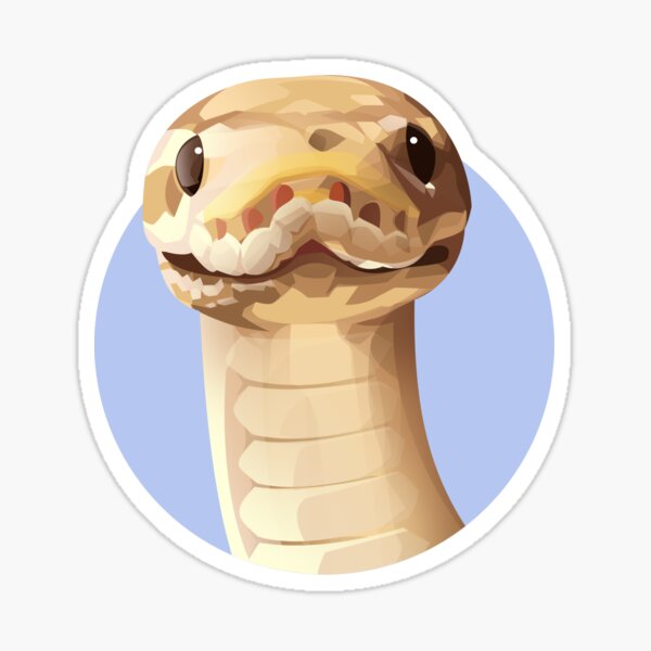 "Banana Ball Python Snake" Sticker for Sale by joobjoobthesnek | Redbubble