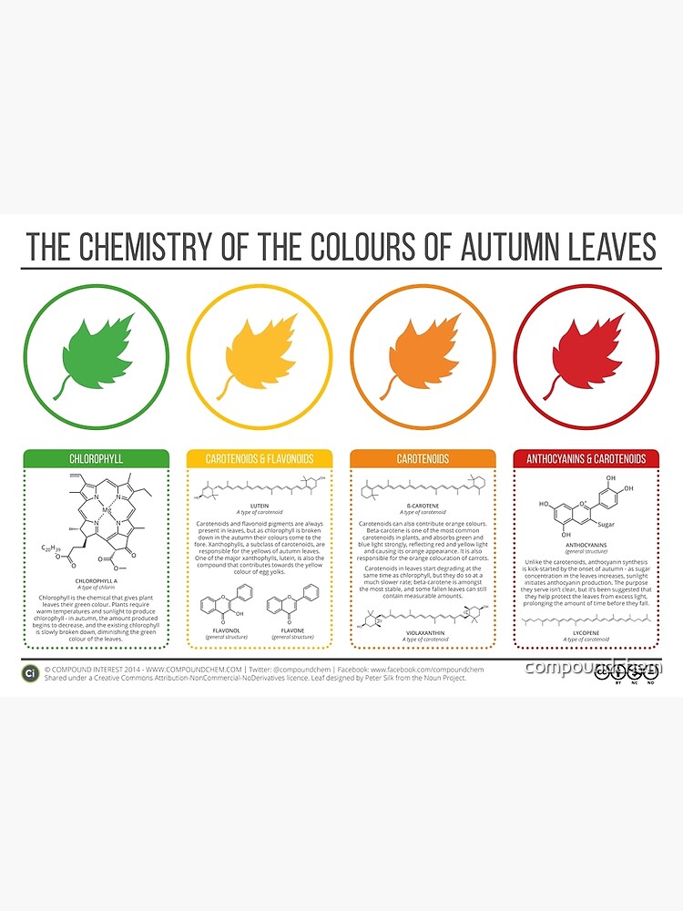 "Autumn Leaves Chemistry" Poster for Sale by compoundchem | Redbubble