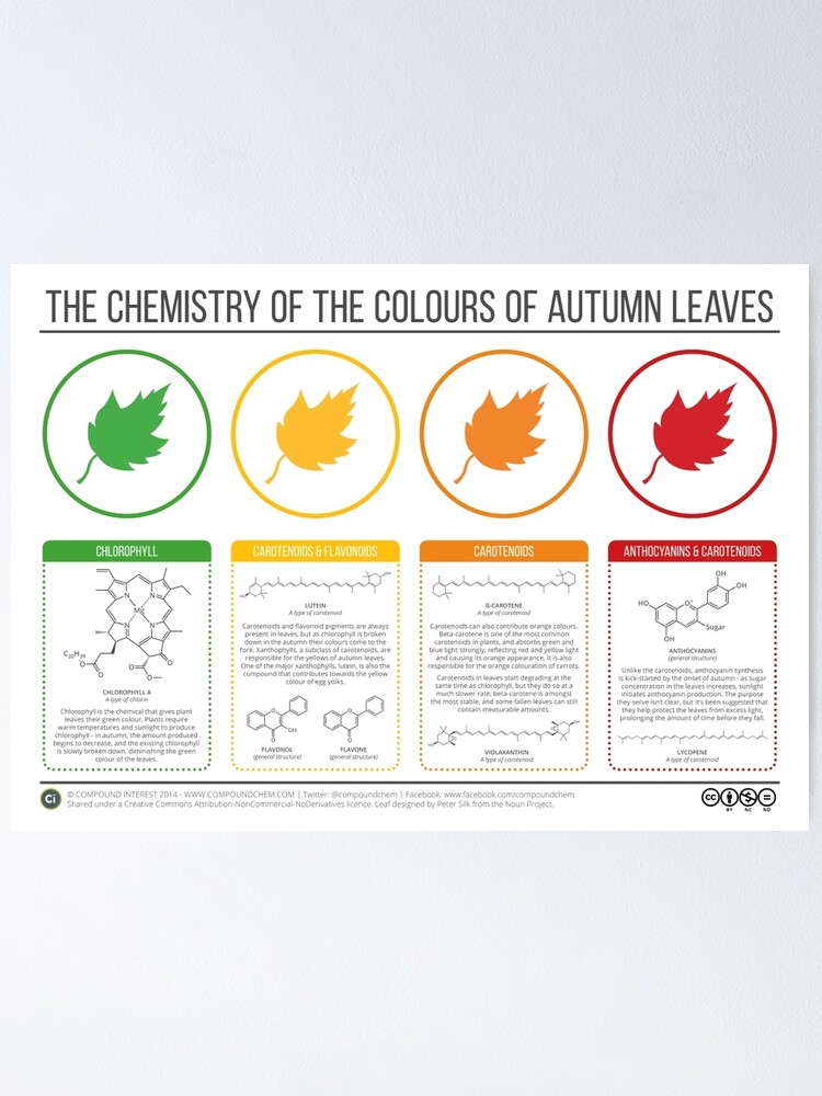 "Autumn Leaves Chemistry" Poster for Sale by compoundchem | Redbubble