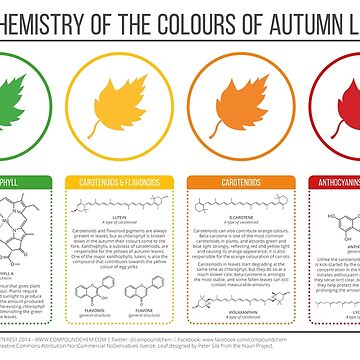 "Autumn Leaves Chemistry" Poster for Sale by compoundchem | Redbubble