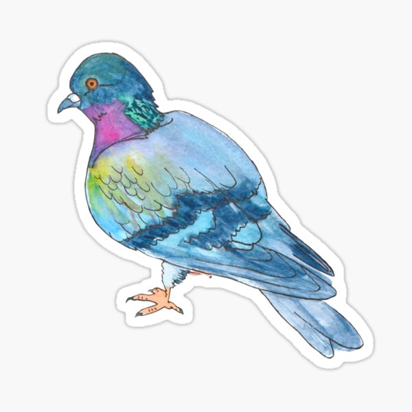 "Colourful pigeon sticker #2" Sticker by LucAndLil | Redbubble