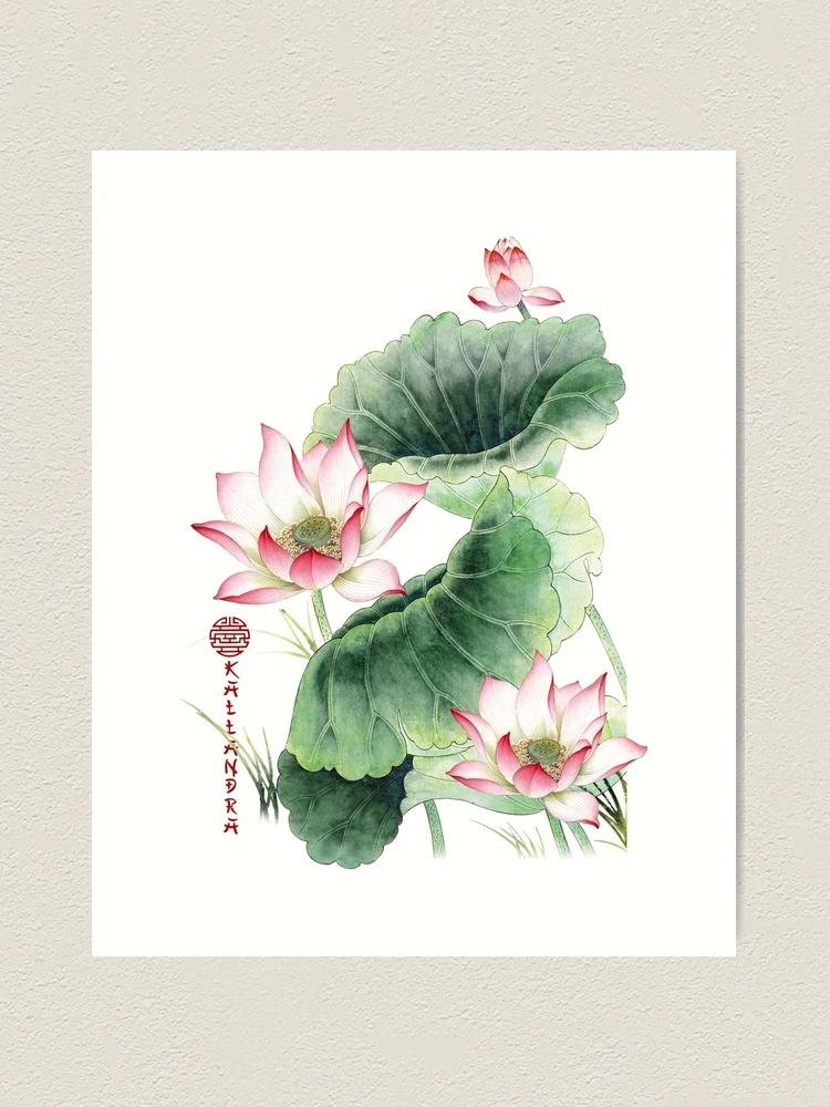 Chinese Lotus Flower Painting
