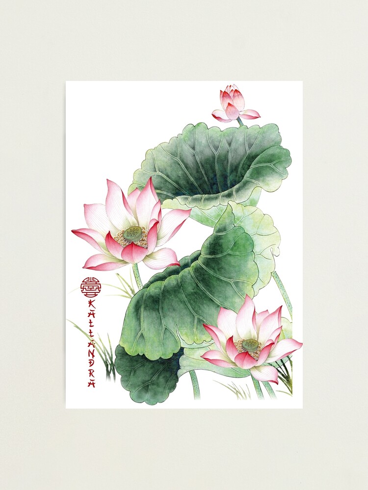 Chinese Flower Drawing
