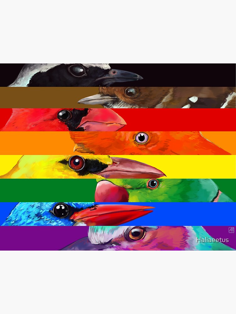 "LGBTQIA Pride Birds - Black and Brown" Sticker by Haliaeetus | Redbubble