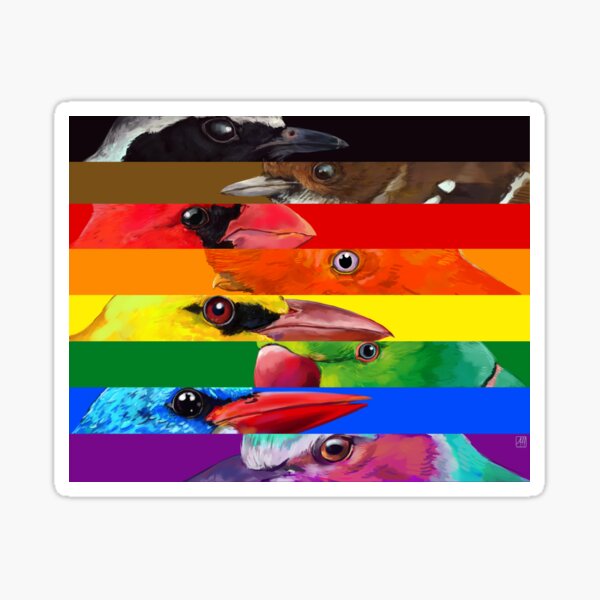 "LGBTQIA Pride Birds - Black and Brown" Sticker by Haliaeetus | Redbubble