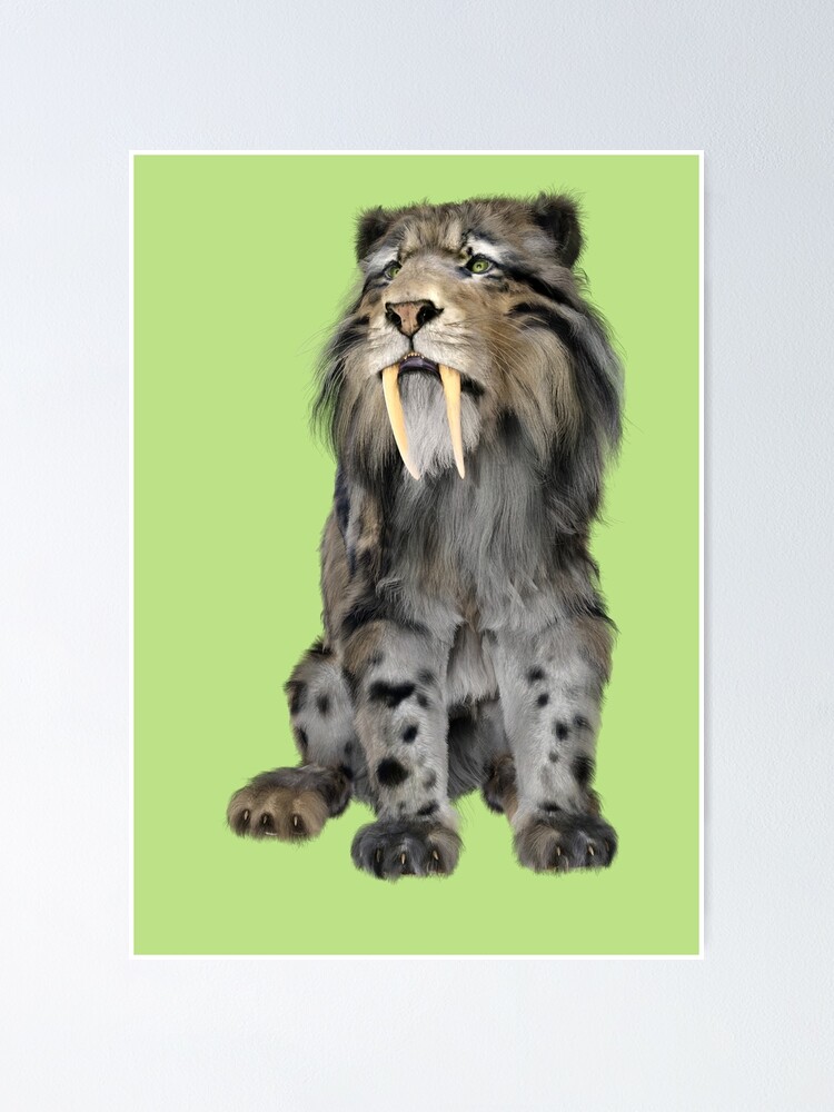 "Sabertooth Tiger" Poster by Vac1 | Redbubble