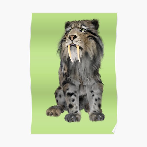 "Sabertooth Tiger" Poster by Vac1 | Redbubble