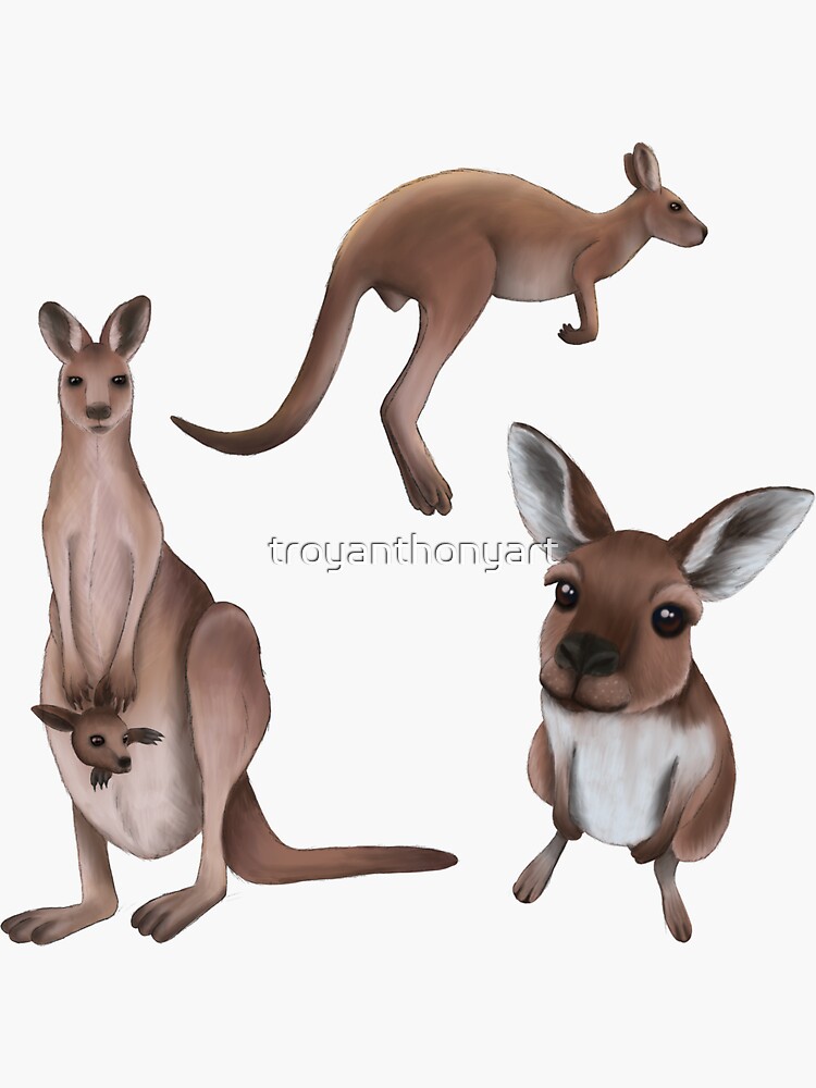 "Happy Kangaroos" Sticker by troyanthonyart | Redbubble