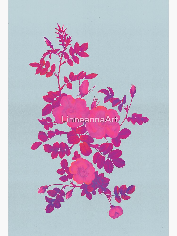 "Pink Purple Roses Collage on Grey Texture Background, Bold Retro Cute ...