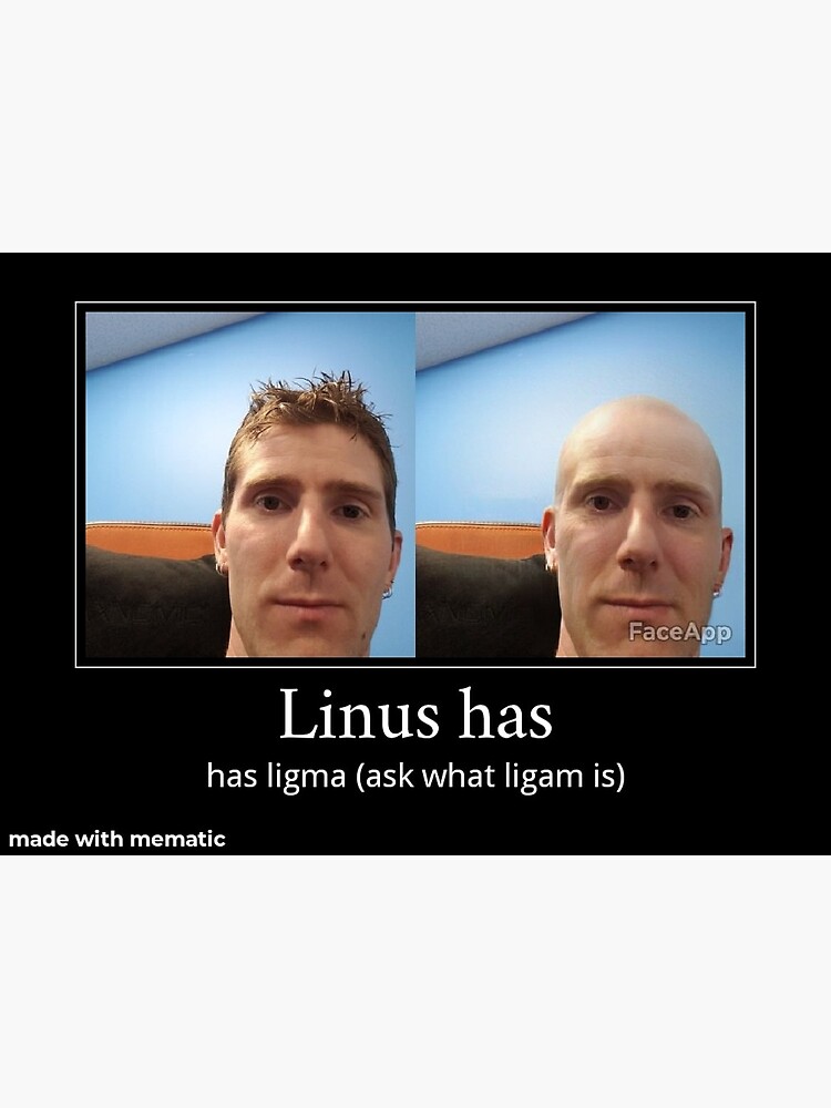 "Linus tech tips " Sticker for Sale by Ashesofthewake1 | Redbubble