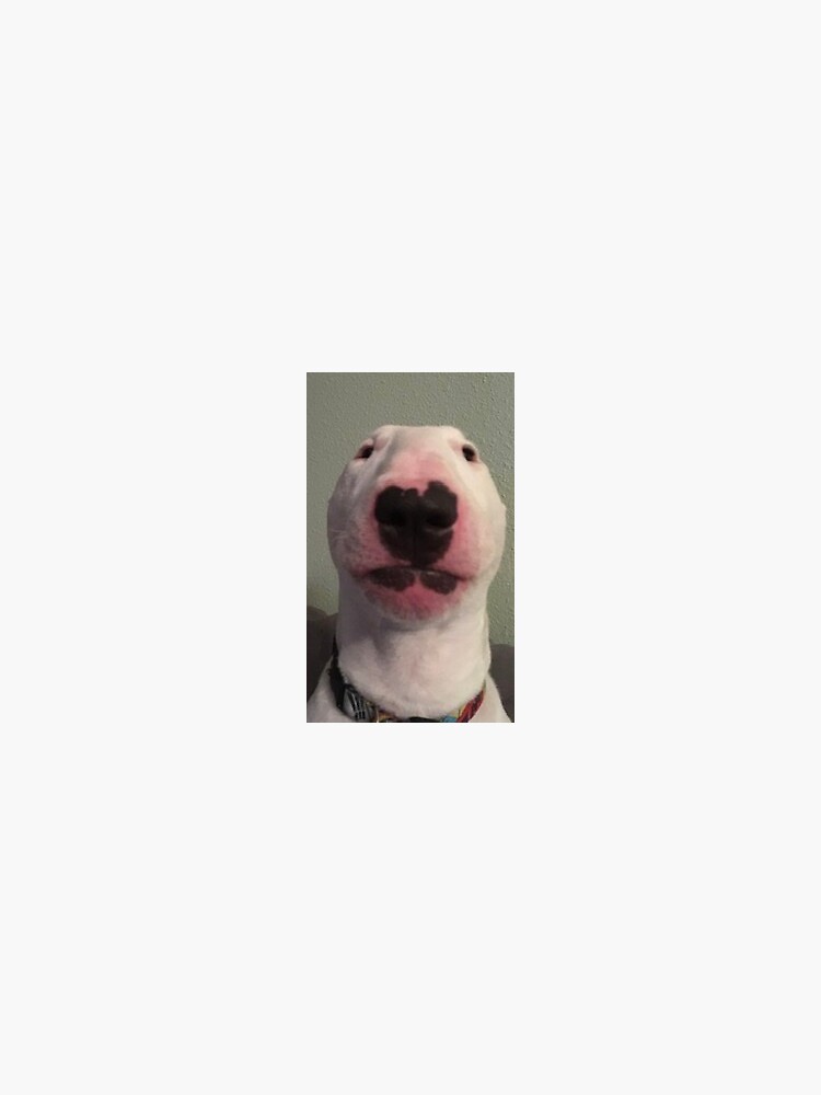 "Walter the Dog Picture" Sticker by youyouitsjoe | Redbubble
