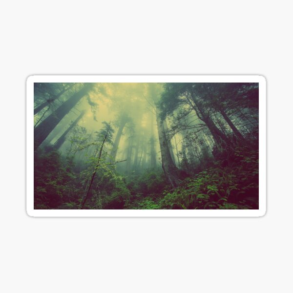 "NATURE FOREST" Sticker by Kessim1 | Redbubble