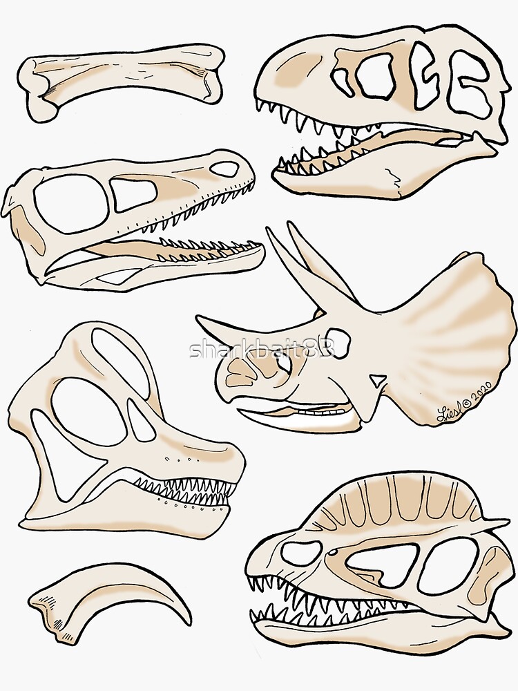 "Dino Skulls" Sticker for Sale by sharkbait83 | Redbubble