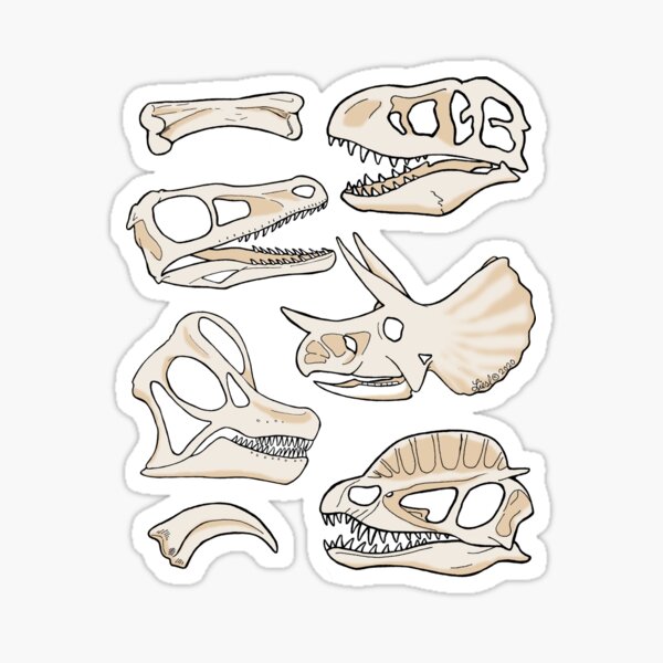 "Dino Skulls" Sticker for Sale by sharkbait83 | Redbubble