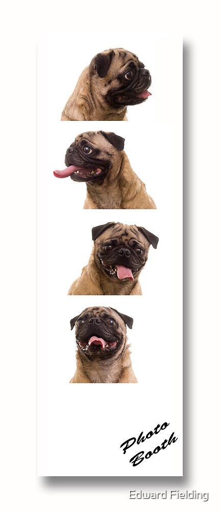 "Funny Pug Dog Photo Booth" by Edward Fielding | Redbubble