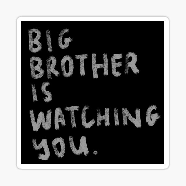 Big Brother Is Watching You Stickers | Redbubble