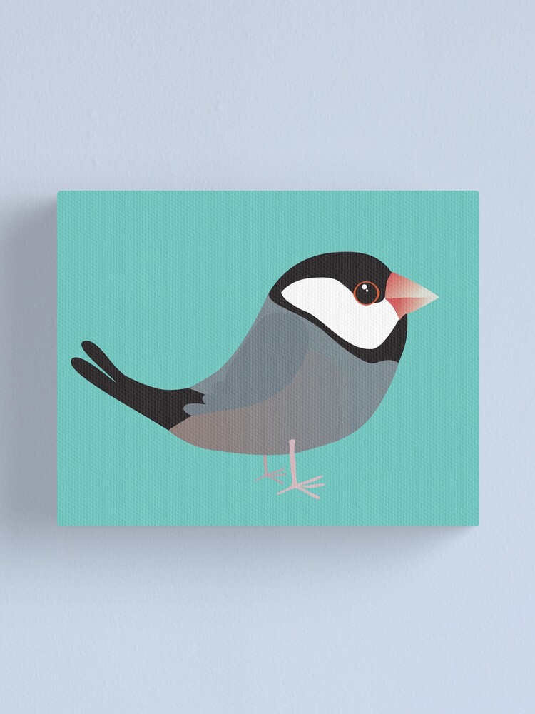 "Cute java sparrow" Canvas Print for Sale by Bwiselizzy | Redbubble