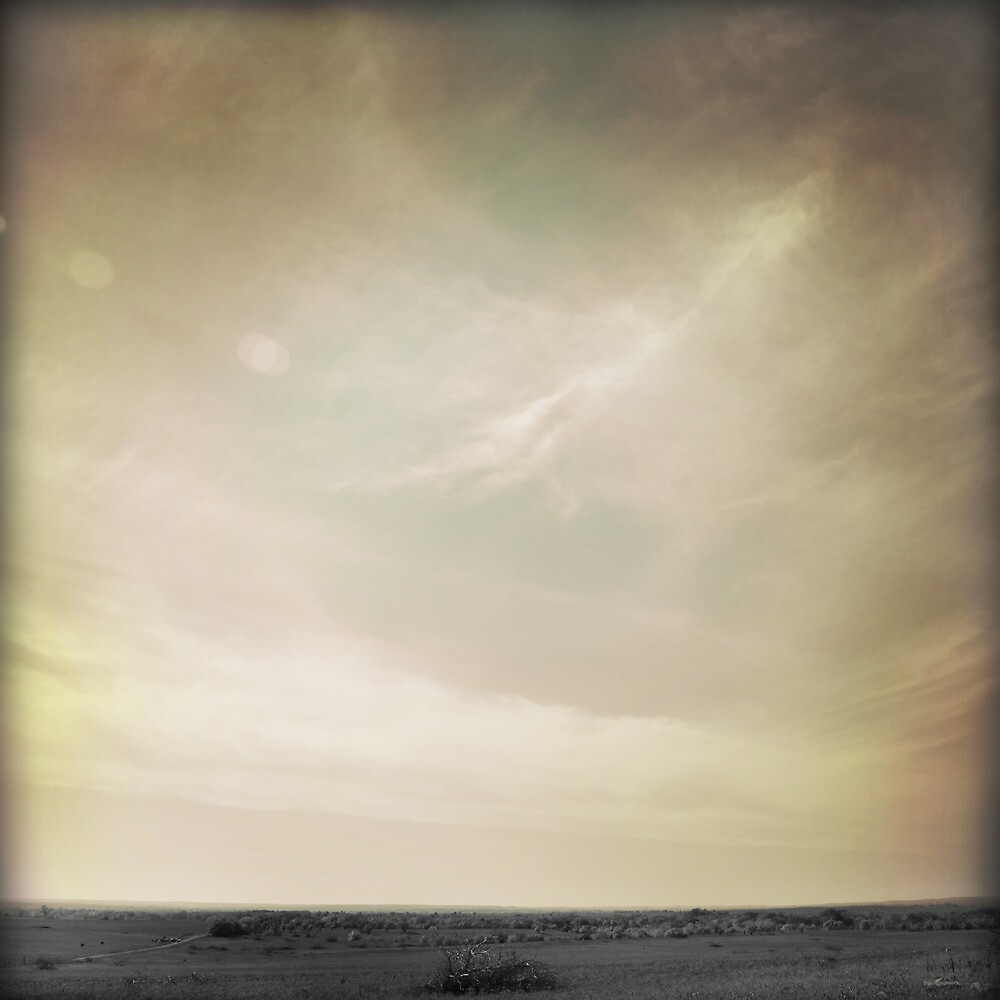 "Wide Open Spaces" by Robert Baker | Redbubble