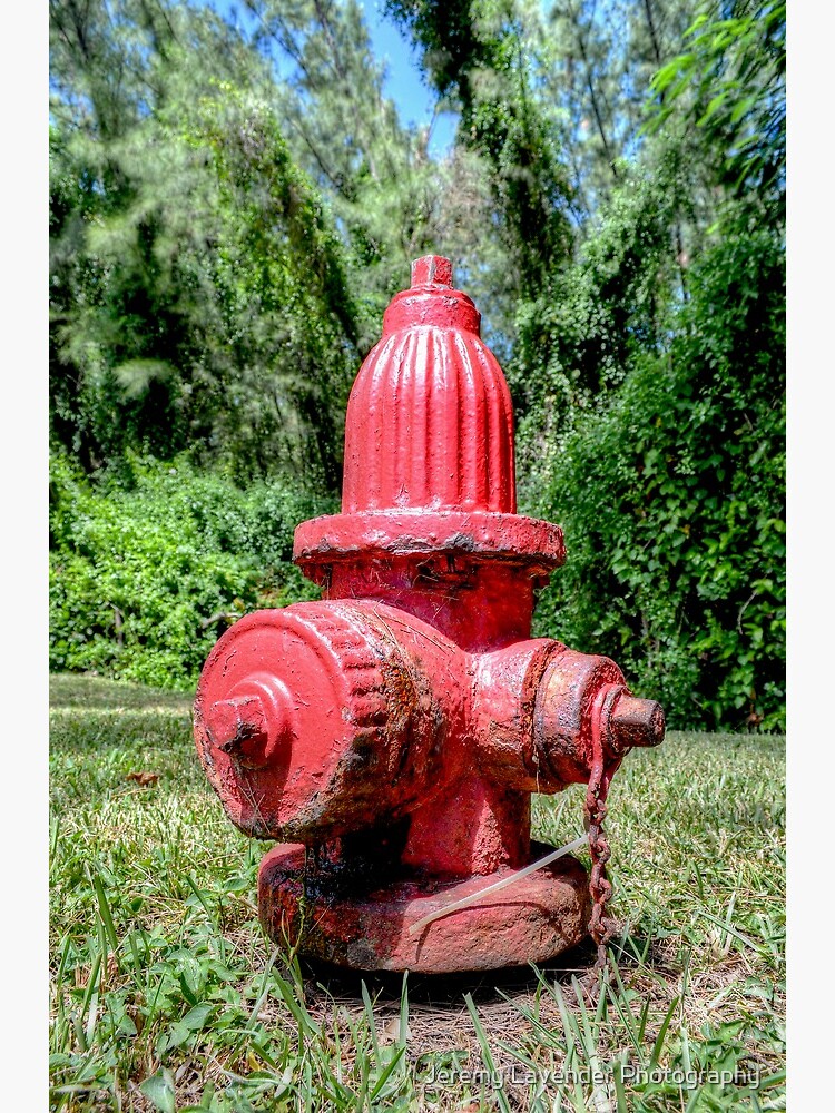 "Fire Hydrant in Paradise Island, The Bahamas" Photographic Print for ...