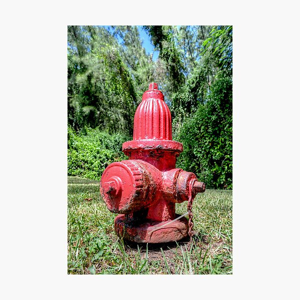 "Fire Hydrant in Paradise Island, The Bahamas" Photographic Print for ...