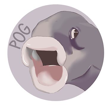 "Pog Fish is Pogging Sticker" Sticker for Sale by L-monade | Redbubble