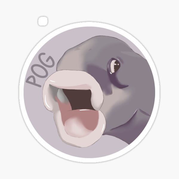 "Pog Fish is Pogging Sticker" Sticker for Sale by L-monade | Redbubble
