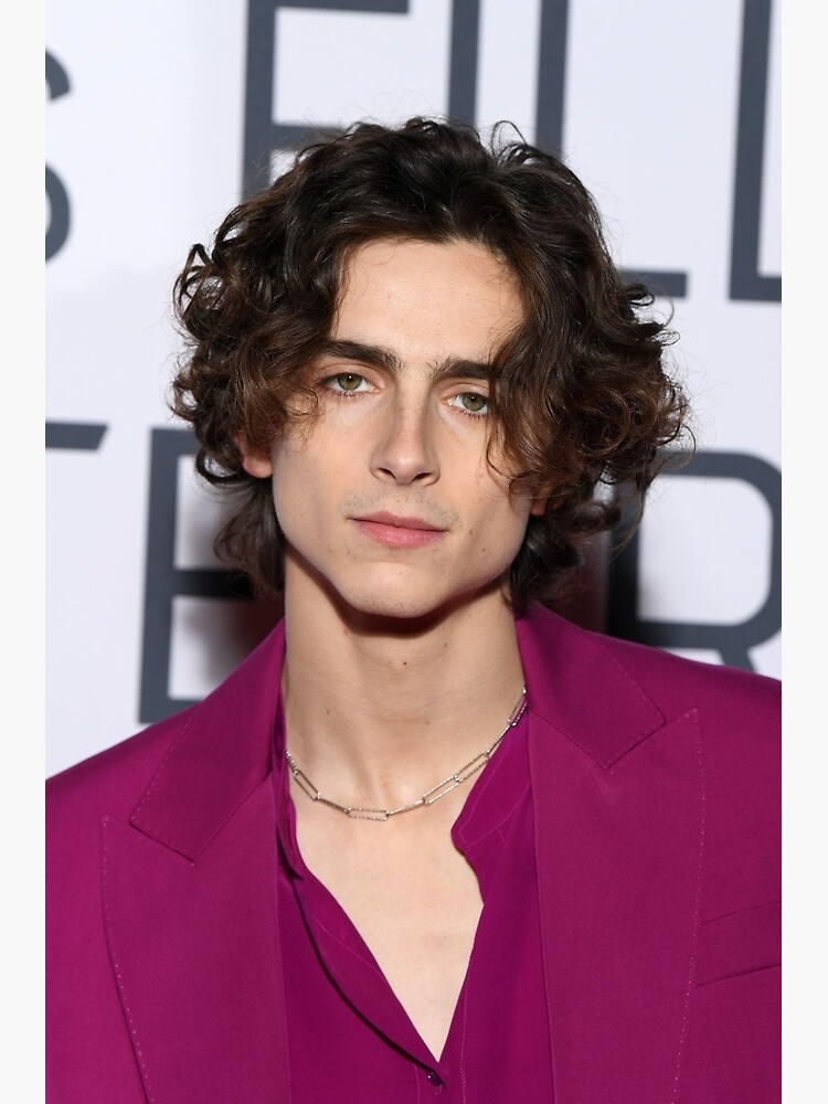 Timothée Chalamet poster Premium Matte Vertical Poster sold by Catarina ...